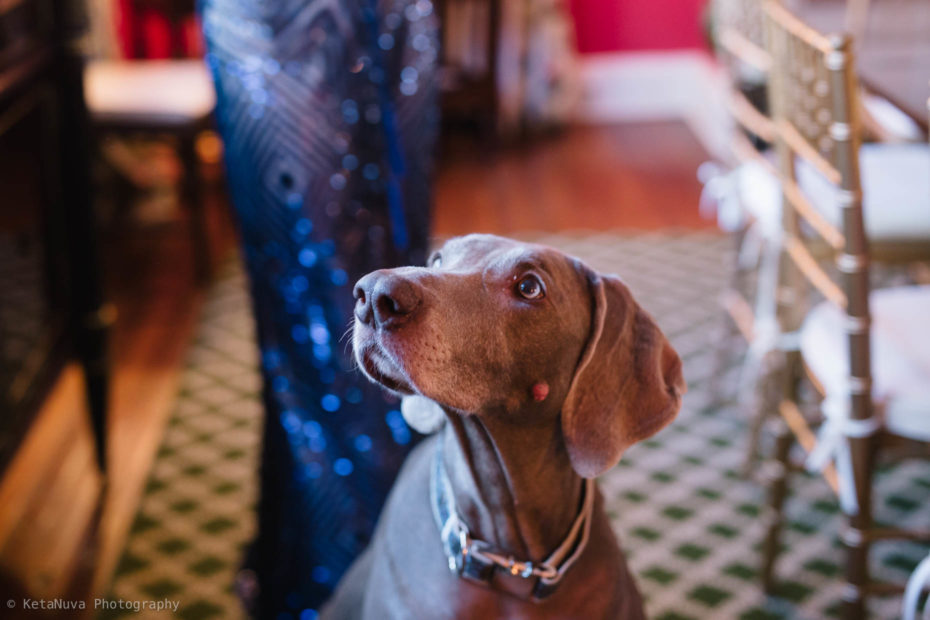 The Inn at Fernbrook Farms Wedding - NJ Wedding Photography